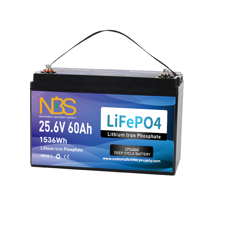 BatteryOrbit High-Performance LiFePO4 RV Battery: Long-Lasting, Lightw ...